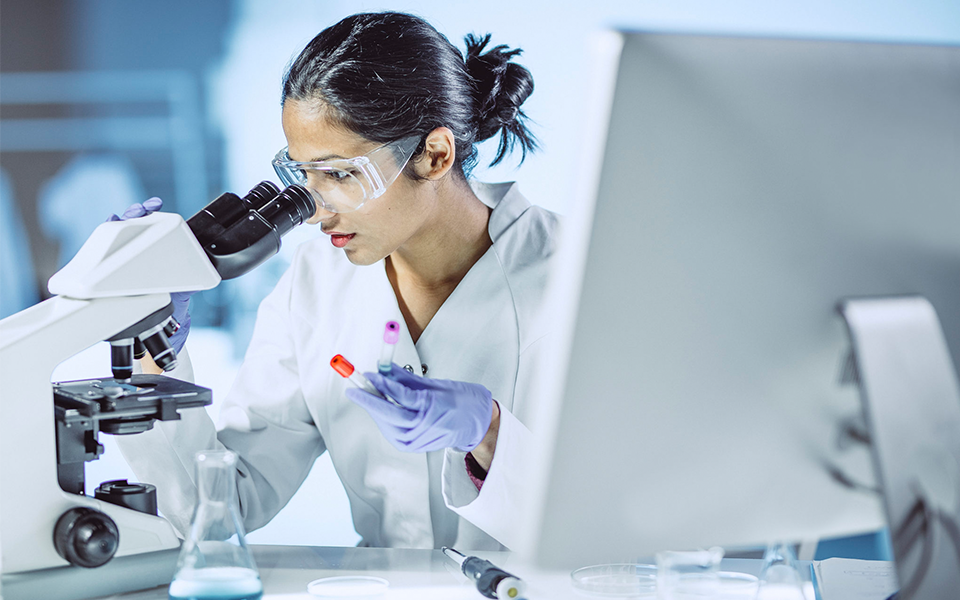 ABC vai emprestar ‘know-how’ à Madeira para desenvolvimento de centro ...